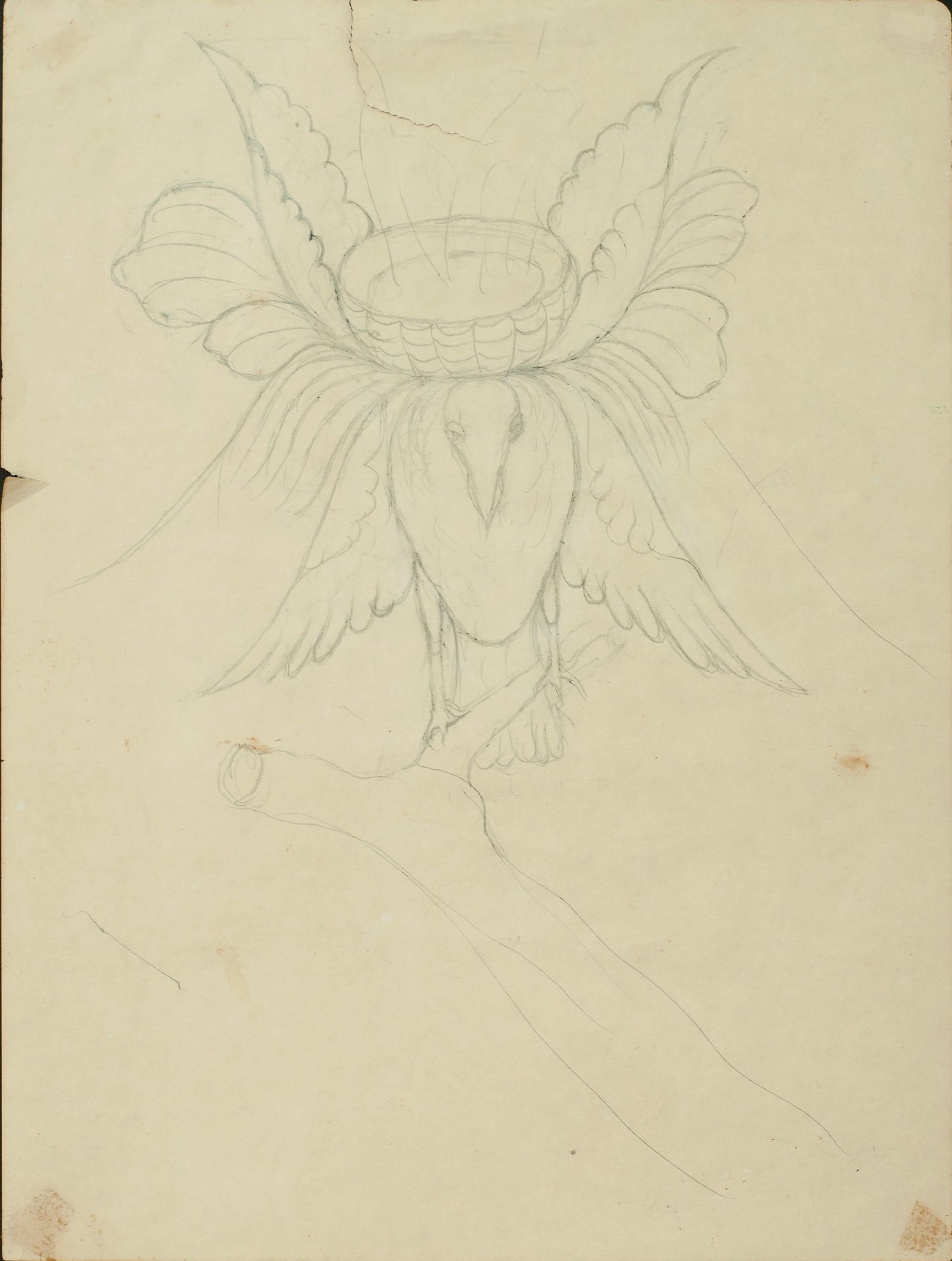 Rigaud Benoit (1911-1986) 12"x9" Butterflies Black and White Drawing